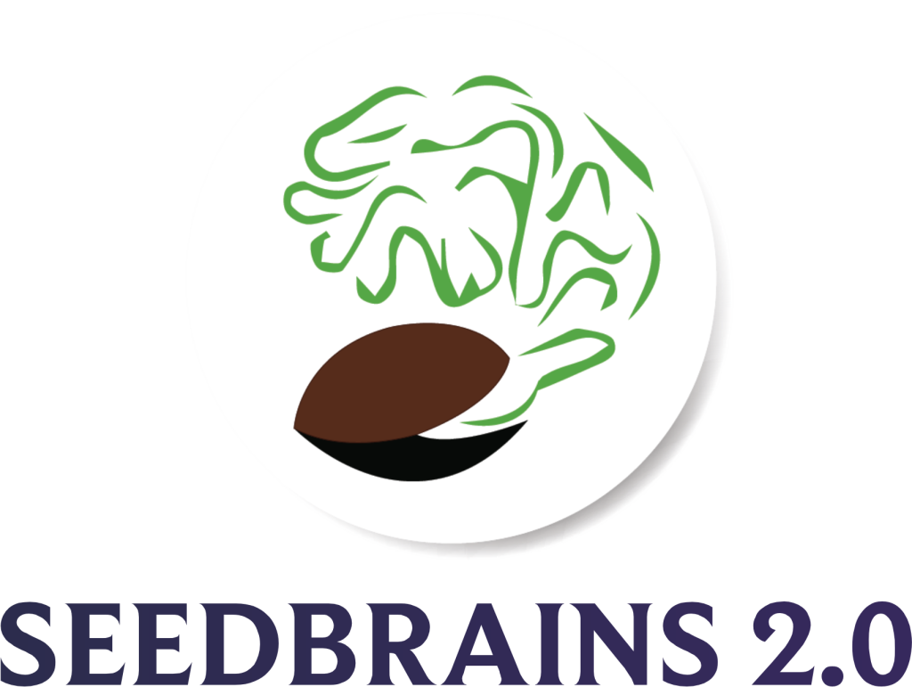 SEEDBRAINS 2.0 - CIT - Cambridge Institute of Technology | Cambrian